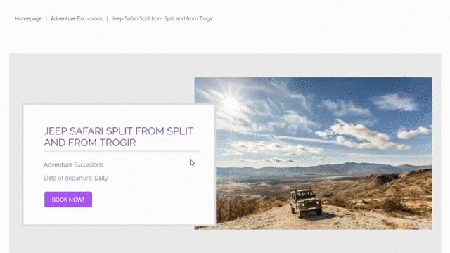 14 reasons why tour and activity companies need an online booking system