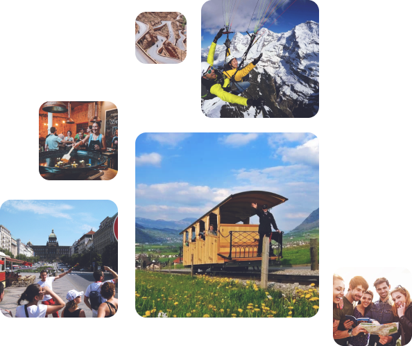 Bus Tour and Transfer Companies