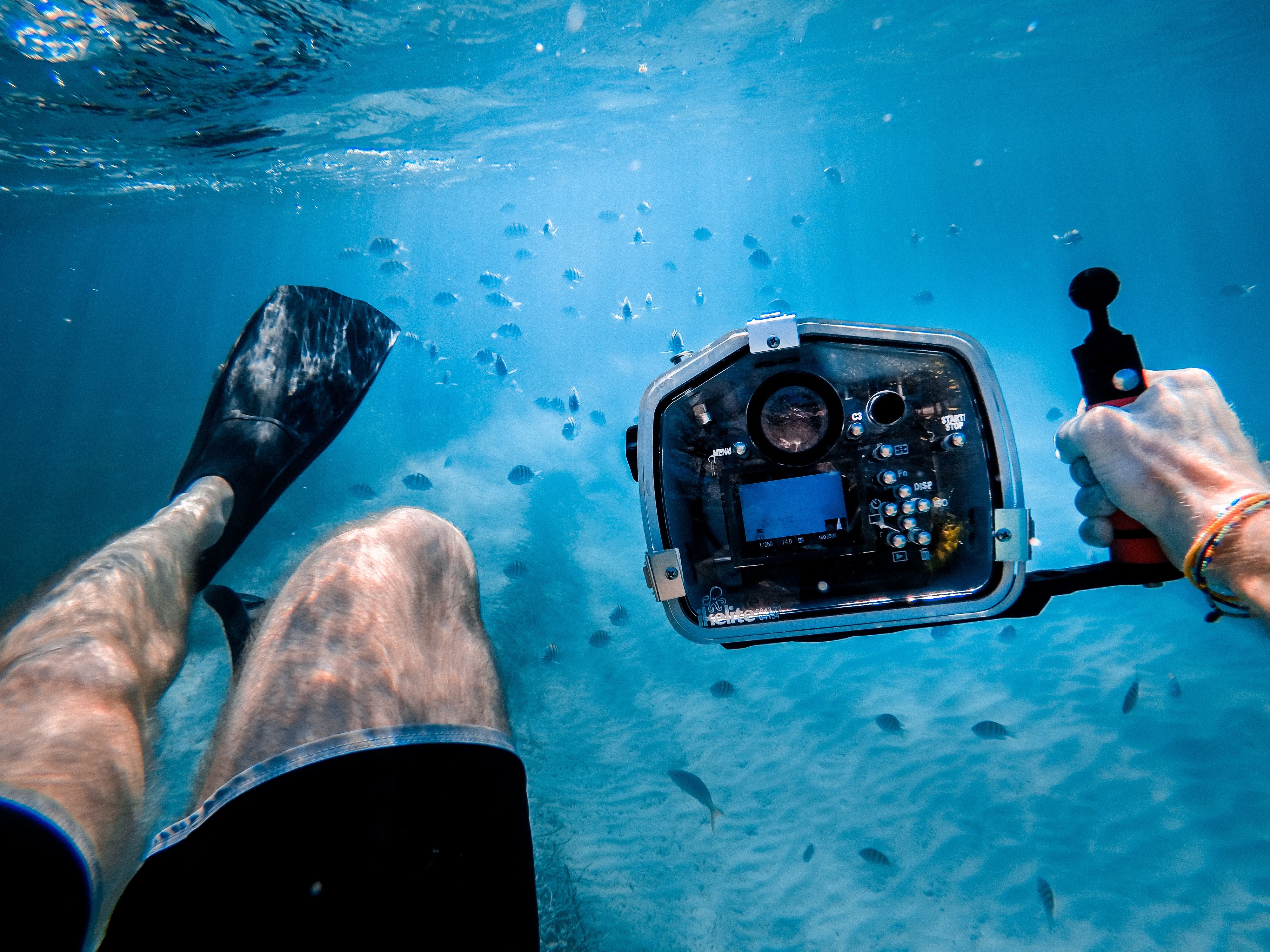 9 ways to build your scuba diving or snorkelling business