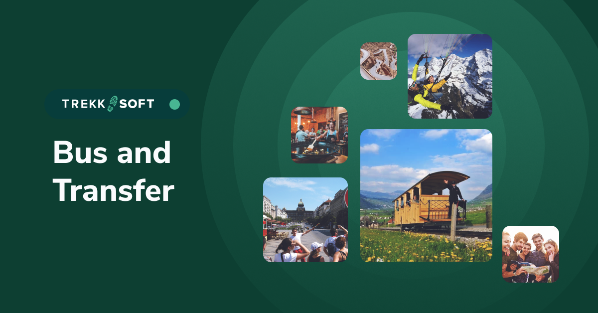 Bus Tour and Transfer Companies