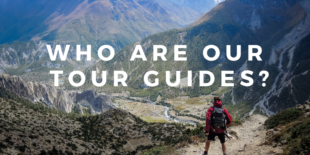 Tourism Survey Results: Who are our tour guides?